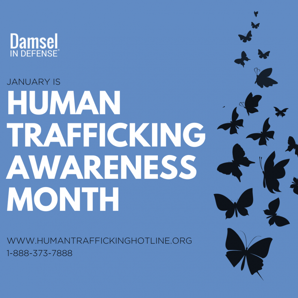 Blog - Damsel In Defense Blog